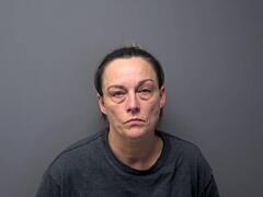 Baxter County, AR Arrests | Public Jail Records